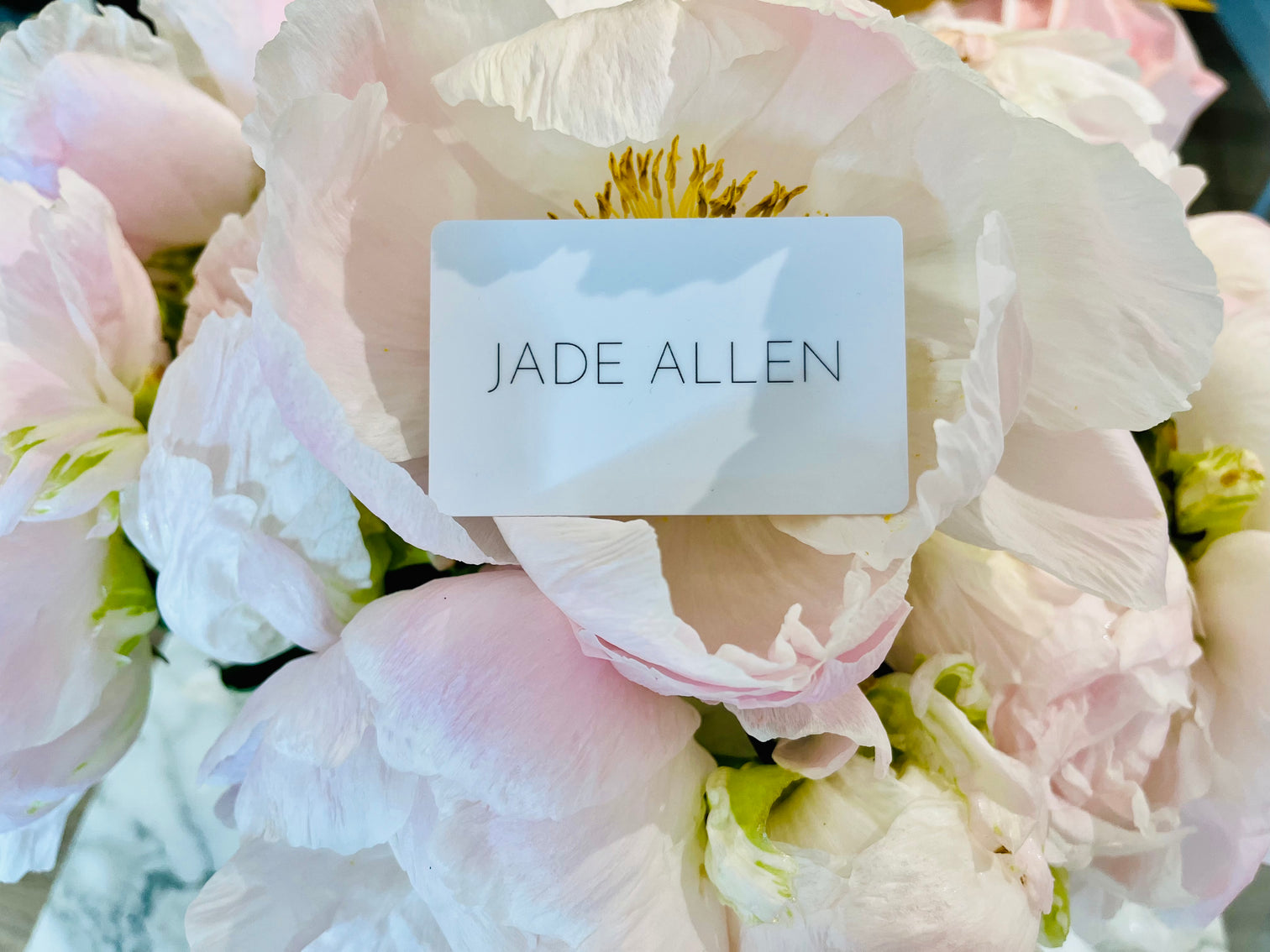 Jade Allen | Luxury Boutique Aptos, CA – Jade Allen Boutique